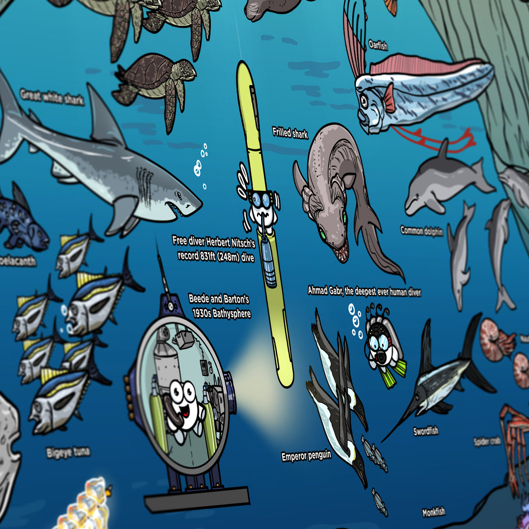 Posters – Be Amazed